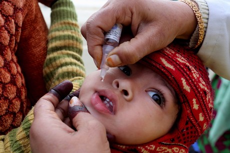 Health Volunteer Administers Pulse Polio Vaccine Editorial Stock Photo ...