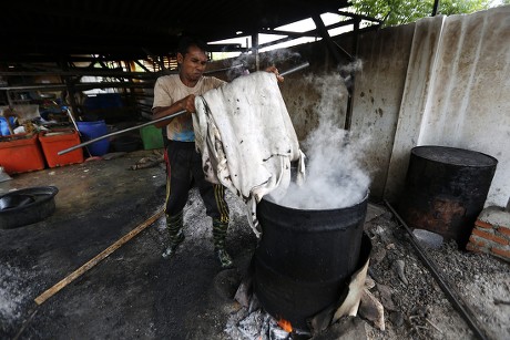 Worker Processes Cowhide Boiling Water Which Editorial Stock Photo ...
