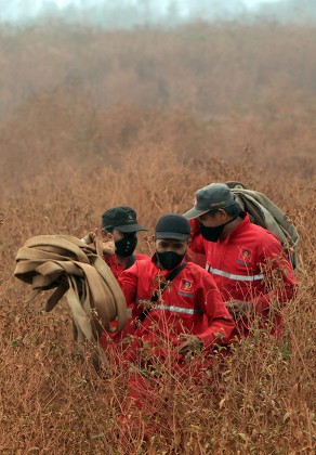 89 Open field fire Stock Pictures, Editorial Images and Stock Photos ...