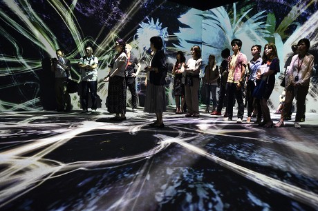 Visitors Look Artwork Crows Chased Chasing Editorial Stock Photo ...