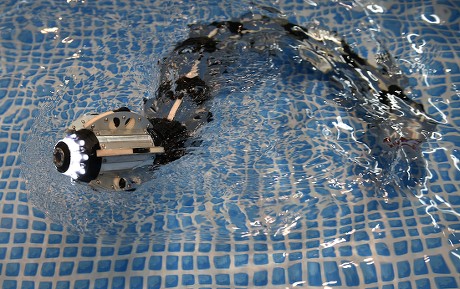 Amphibious Snakelike Robot Made By Japanese Editorial Stock Photo ...
