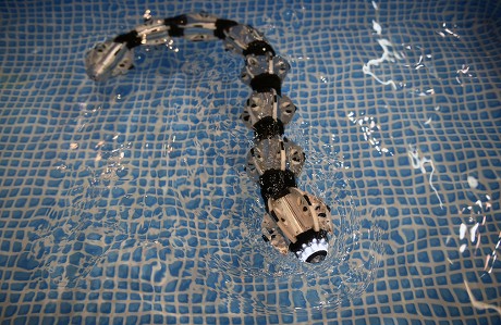 Amphibious Snakelike Robot Made By Japanese Editorial Stock Photo ...