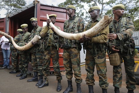 Kenya Wildlife Service Kws Rangers Relay Editorial Stock Photo - Stock ...