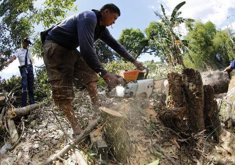 Filipino Cuts Tree Mountains Antipolo City Editorial Stock Photo ...