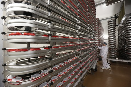 Worker Controls Large Refrigerator Line During Editorial Stock Photo ...