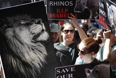 Animal Rights Activists Carry Placards During Editorial Stock Photo ...