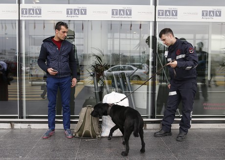 Turkish Police K9 Dog Search Car Editorial Stock Photo - Stock Image ...