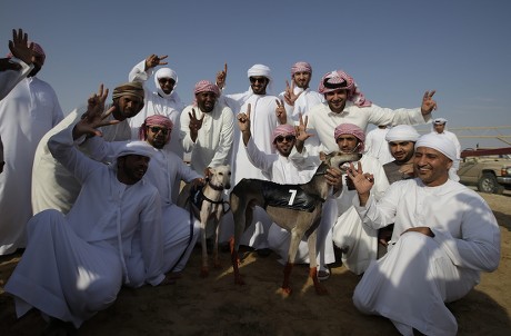 Emirati Men Pose Two Saluki Dogs Editorial Stock Photo - Stock Image ...