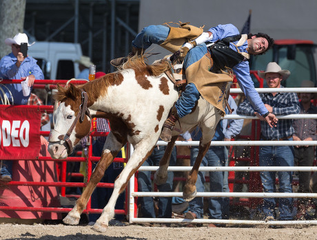 __COUNT__ PRCA Rodeo 68th Annual Homestead Championship Rodeo ...