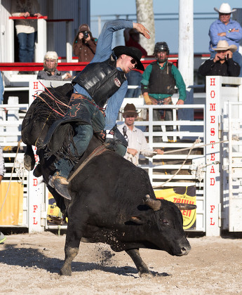 Drew Flynn 56 Sheridan Wy Riding Editorial Stock Photo - Stock Image ...