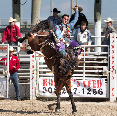 __COUNT__ PRCA Rodeo 68th Annual Homestead Championship Rodeo ...