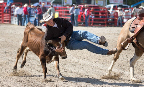 __COUNT__ PRCA Rodeo 68th Annual Homestead Championship Rodeo ...