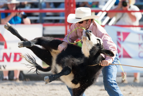 Drew Flynn 56 Sheridan Wy Riding Editorial Stock Photo - Stock Image ...