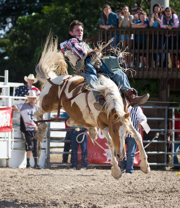 __COUNT__ PRCA Rodeo 68th Annual Homestead Championship Rodeo ...