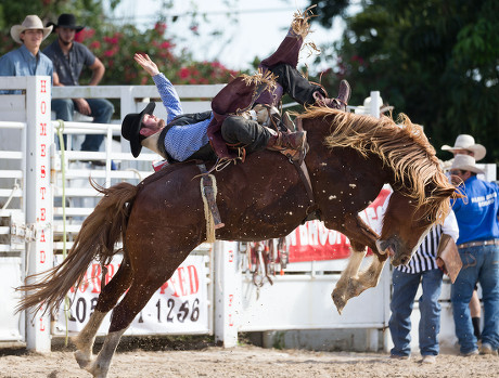 __COUNT__ PRCA Rodeo 68th Annual Homestead Championship Rodeo ...
