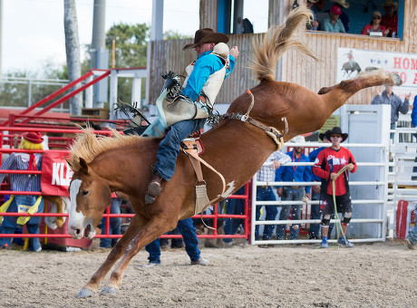 __COUNT__ PRCA Rodeo 68th Annual Homestead Championship Rodeo ...