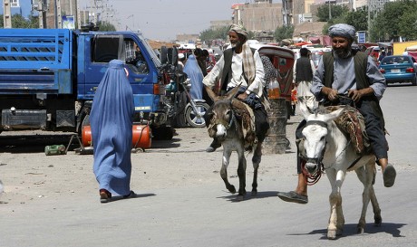 Afghan Men Ride On Donkeys Woman Editorial Stock Photo - Stock Image ...