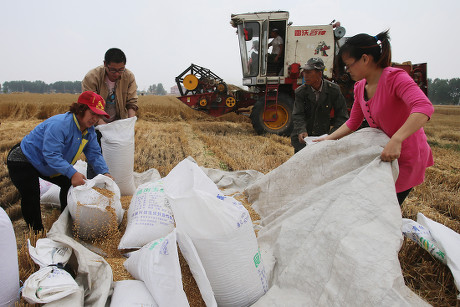 2,000 Chinese farmers Stock Pictures, Editorial Images and Stock Photos ...