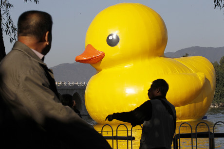 Giant Inflatable Yellow Duck Installed Lake Editorial Stock Photo ...
