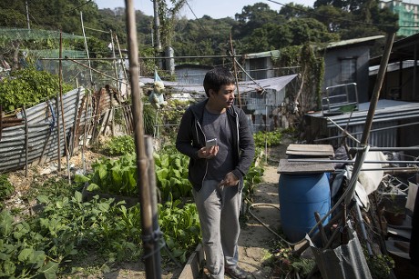 Volunteer Mapping Pok Fu Lam Village Editorial Stock Photo - Stock ...