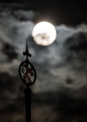 Czech National Symbol Lion Seen Front Editorial Stock Photo - Stock ...