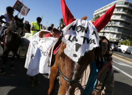 __COUNT__ France Horse Tax Protest - Dec 2013 Stock Pictures, Editorial ...