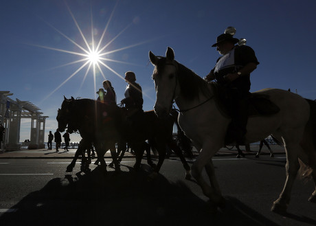 __COUNT__ France Horse Tax Protest - Dec 2013 Stock Pictures, Editorial ...