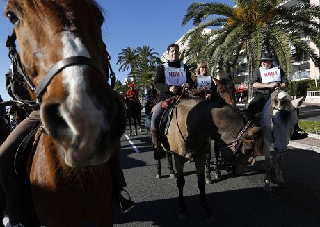 __COUNT__ France Horse Tax Protest - Dec 2013 Stock Pictures, Editorial ...