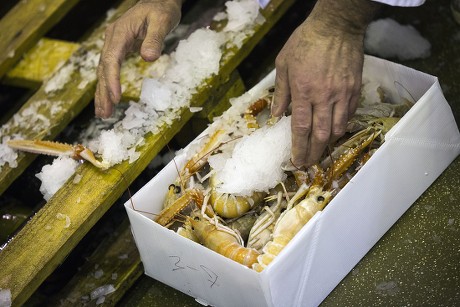 France Paris Rungis Food Market - Dec 2014 Stock Pictures, Editorial ...