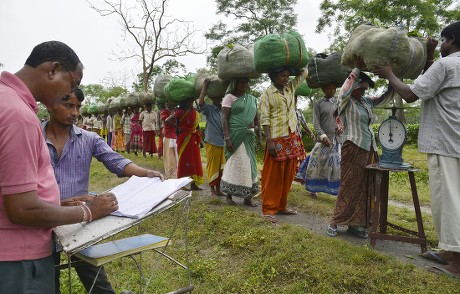 Indian Tea Workers Wait Queue Deposit Editorial Stock Photo - Stock ...