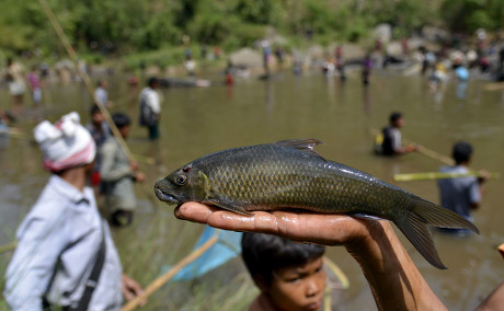Villager Shows His Catch During Traditional Editorial Stock Photo ...