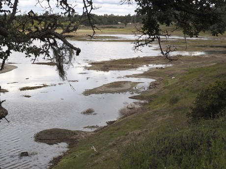 Low Levels Water Along Banks Lake Editorial Stock Photo - Stock Image ...