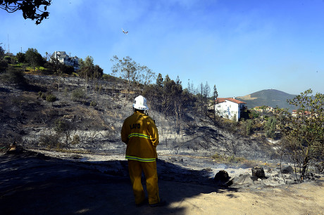 Fireman Looks Over Burned Landscape Wildfires Editorial Stock Photo ...
