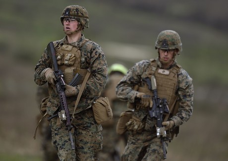 Us Marines Action During Military Exercise Editorial Stock Photo ...