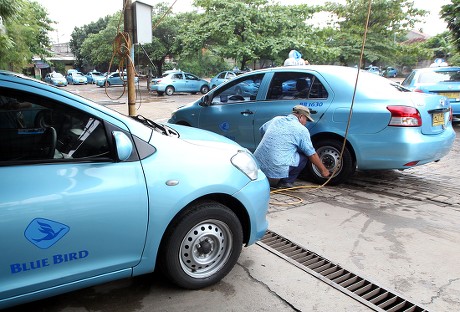 63 Blue bird car Stock Pictures, Editorial Images and Stock Photos ...