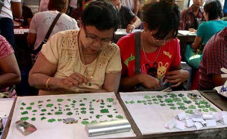 Buyers Inspect Jade Stones Jade Market Editorial Stock Photo - Stock ...