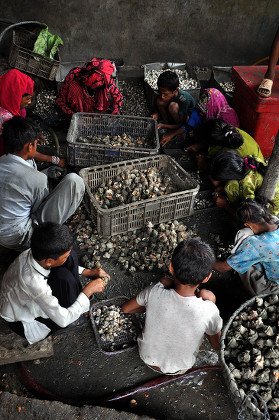 Children Wash Sea Shells Their Family Editorial Stock Photo - Stock ...