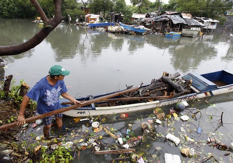 Filipino Flood Victim Collects Firewoods Flooded Editorial Stock Photo ...