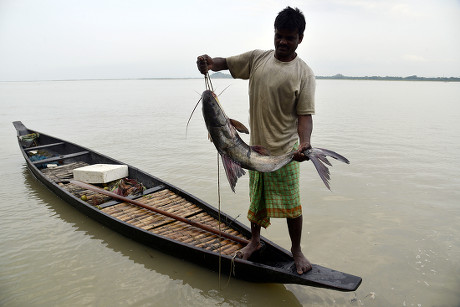 Indian Fisherman Holds Fresh Water Ari Editorial Stock Photo - Stock ...