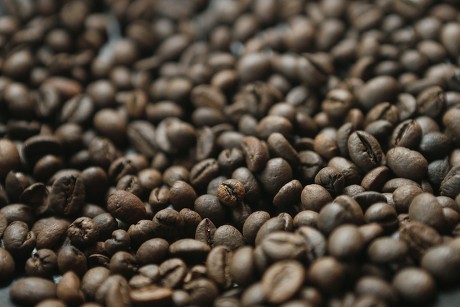 Roasted Civet Coffee Beans Civet Coffee Editorial Stock Photo - Stock ...