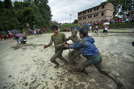 Nepalese Farmers Play Mud Waters Paddy Editorial Stock Photo - Stock ...