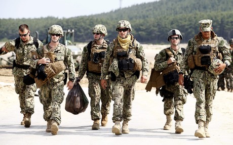Us South Korean Marines Participate Annual Editorial Stock Photo ...