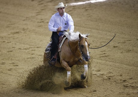 German Rider Alexander Ripper On Horse Editorial Stock Photo - Stock ...