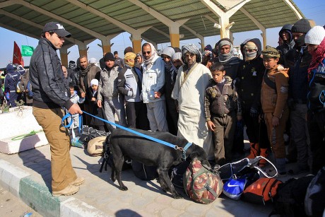 Iraqi Soldier Sniffer Dog Inspect Bags Editorial Stock Photo - Stock ...
