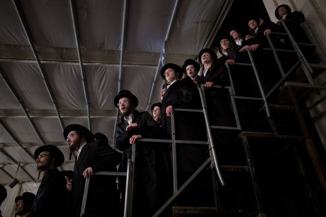Hassidim Ultra Orthodox Jews During Wedding Editorial Stock Photo ...
