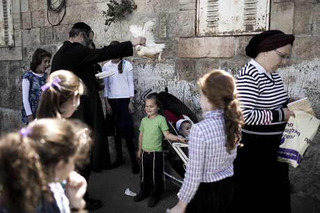 Ultraorthodox Jewish Man Performs Kaparot Ritual Editorial Stock Photo ...