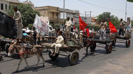 Pakistani Laborers On Donkey Carts Rally Editorial Stock Photo - Stock ...