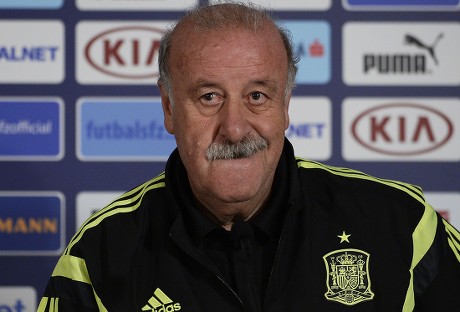 Spanish National Soccer Teams Head Coach Editorial Stock Photo - Stock ...