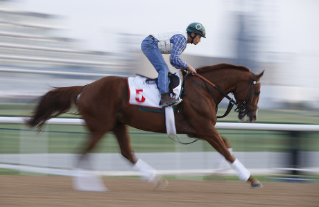 Uae Horse Racing Dubai World Cup 2015 - Mar 2015 Stock Pictures ...
