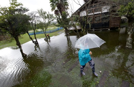 After Passing Typhoon Wipha Japanese Farm Editorial Stock Photo - Stock ...
